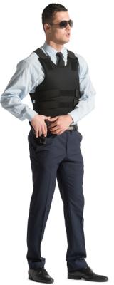 Standing Security Guard